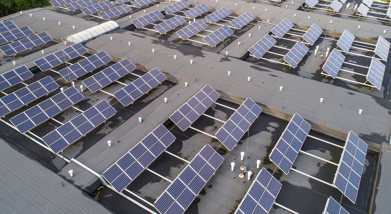 Bespaar geld door uw dak duurzaam te maken : Ben Roos Dakbedekking BV